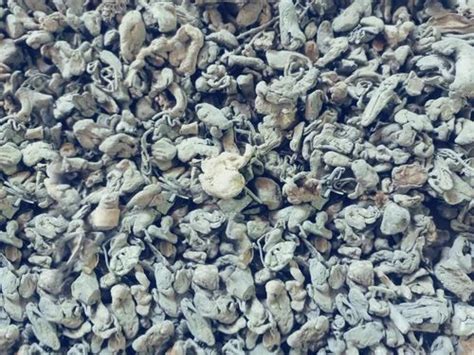 99 Lead Scrap At ₹ 180 Kg In Faridabad Id 2849207932912