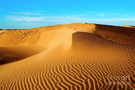 Pismo Beach Dunes