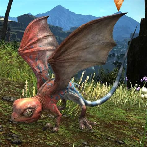 Ffxiv Coeurl Location Map Ff14 Hunting Log