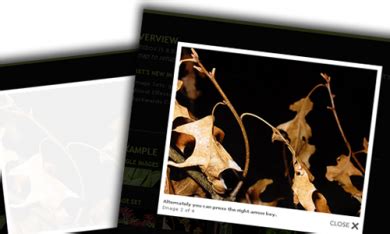 Awesome JQuery Lightbox And Modal Dialog Plugins For Images