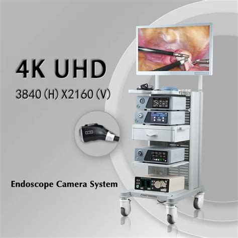 Medical Diagnostic Colposcopy Endoscopic Instrument Endoscopy Equipment