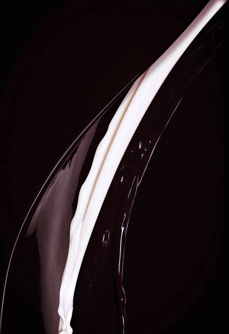 La Fotografía De Daniel Gregoric Área Visual