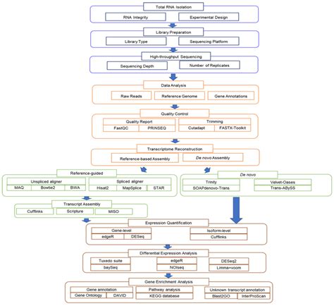 General Rna Seq Analysis Pipeline The Workflow Typically Starts With Download Scientific
