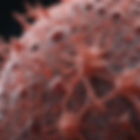 Prognosis In Dlbcl Insights On Gcb Type