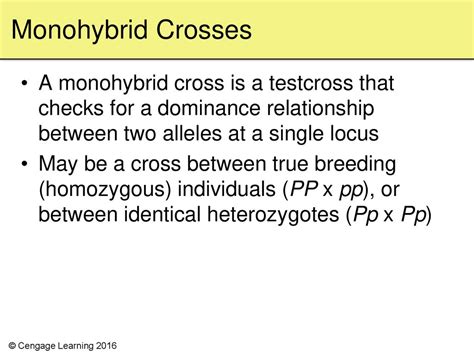 Chapter 13 Observing Patterns In Inherited Traits Ppt Download