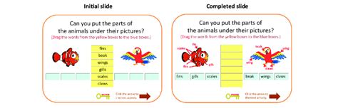 Drag And Drop Activity Slide Download Scientific Diagram