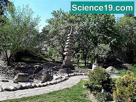 Как да храним катерици пуканки 💫 Научно Популярен Мултимедиен Портал 2025