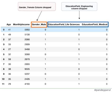 Beware The Dummy Variable Trap In Pandas Built In