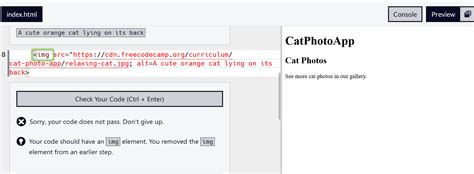 Have I Found An Error In A Lesson HTML CSS The FreeCodeCamp Forum
