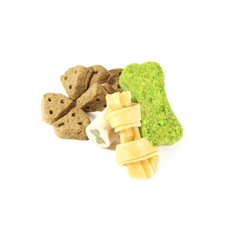 Assorted Treats For Dogs Catsnap