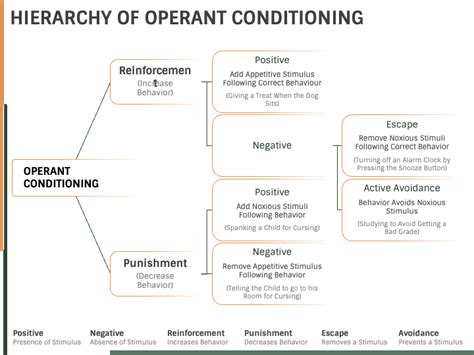 Operant Conditioning PowerPoint And Google Slides Template PPT Slides