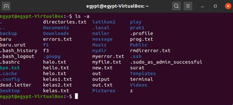 Praktikum Bekerja Dengan Bash Shell