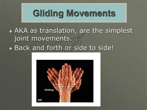 Ppt The Joints Of The Skeleton System Powerpoint Presentation Free