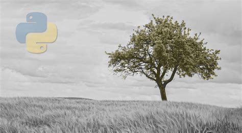 How To Train A Decision Tree Classifier Machine Learning Using Python