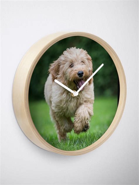 Next Cockapoo Clock At Kelley Bishop Blog