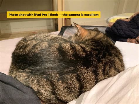 Apple Ipad Pro Inch Wi Fi Gb Silver St Generation Amazon Co Uk