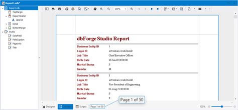 sql report parameters feature