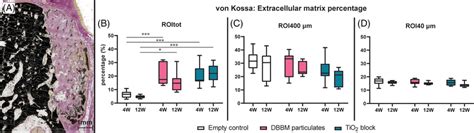 A Tio2 Group Mineralized Bone Including Deproteinized Bovine Bone