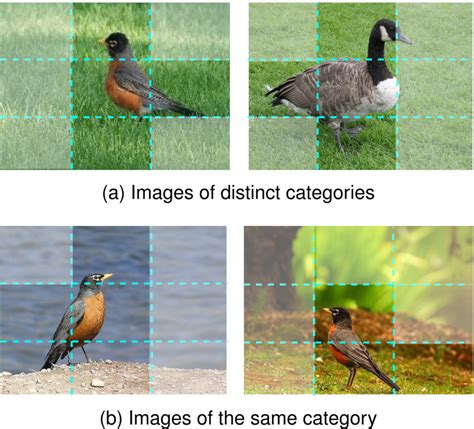 论文审查 Class Relevant Patch Embedding Selection For Few Shot Image