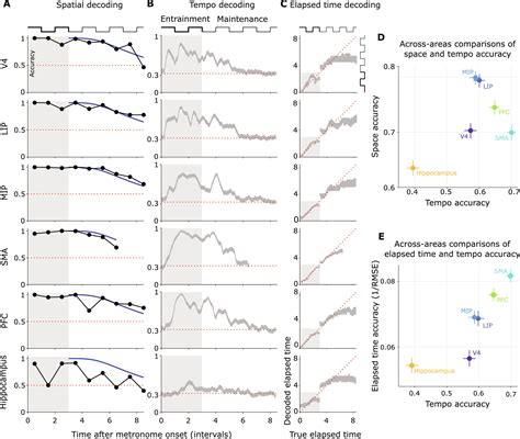 Keeping Time And Rhythm By Internal Simulation Of Sensory Stimuli And Behavioral Actions