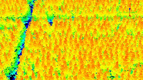 LiDAR Canopy Height Model Resolution Does It Matter Interpine Innovation