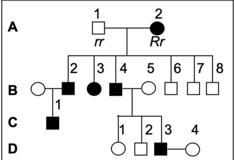Bio 108 Exam 3 Chromosomes Flashcards Quizlet