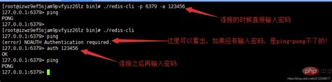 redis设置密码（redis cli） rediscli 命令 密码 csdn博客