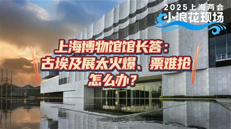 小浪花现场丨古埃及展票难抢怎么办？上博馆长说春节有延时、还要开夜场大都会澎湃新闻 The Paper