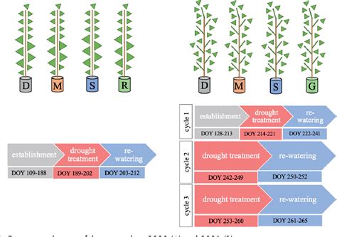 Figure 1 From Maximum Stomatal Conductance Rather Than Stomatal Sensitivity To Drought