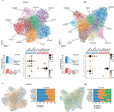 Single Cell Analysis On Additional Nsclc And Crc Samples A Upper Download Scientific Diagram