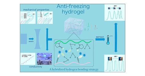 Hybridized Hydrogen Bonding Strategy To Construct Antifreezing