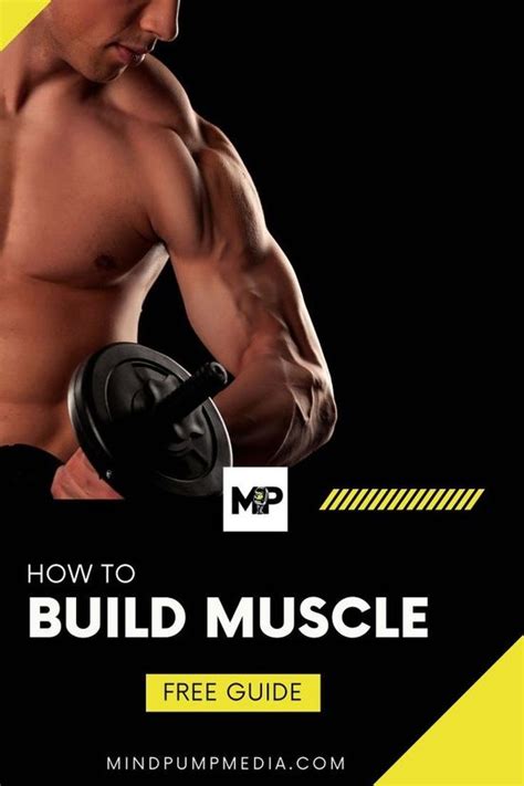 Mind Pump Media Strength Training Full Body Workout Fitness