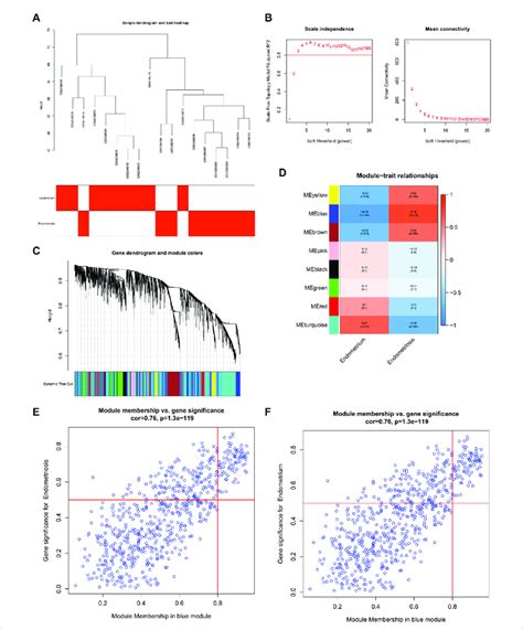 co expression analysis in the gse11691 dataset a clustering