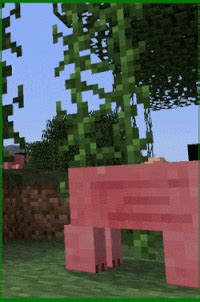 Minecraft гифки анимированные  изображения Minecraft скачать гиф