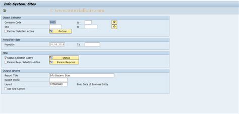 Reisbe Sap Tcode Info System Business Entities