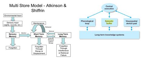 Memory Diagram Quizlet