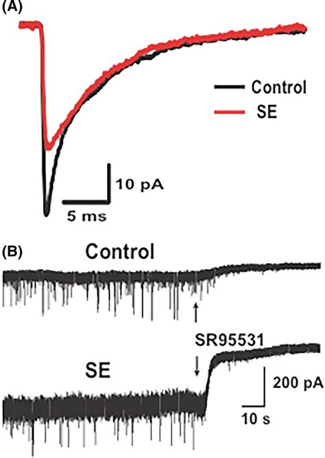 Differential Effects Of Se On Postsynaptic And Extrasynaptic Gaba‐a