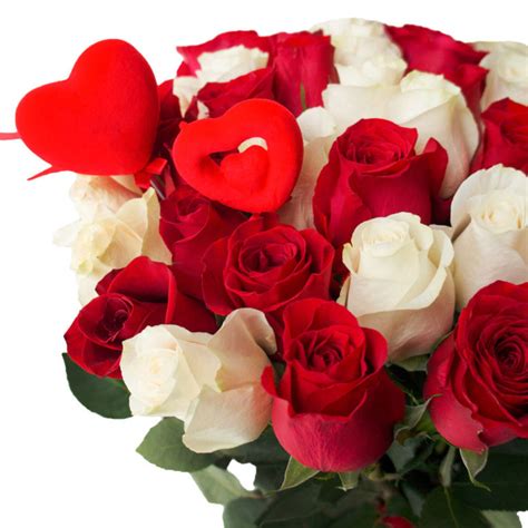 Gullar Rasmlari ⋆ Savol Javob Com