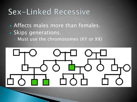 Ppt Patterns Of Heredity And Human Genetics Powerpoint Presentation