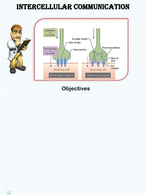 Intercellular Communication Pdf Cell Signaling Synapse