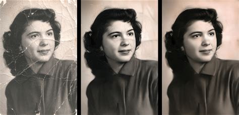 Qualitative Comparisons Between Two Designed Global Branches The Download Scientific Diagram