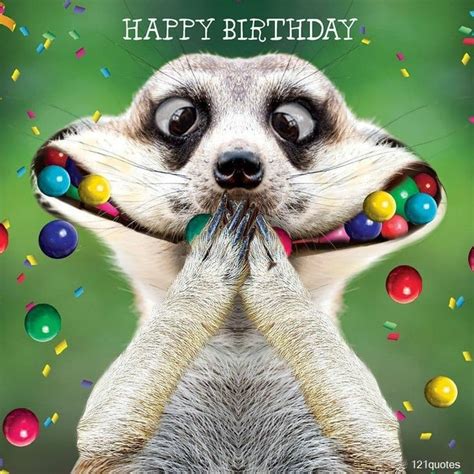 Wacky Birthday Memes Happy Birthday Memes And Funny Messages