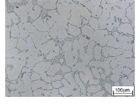 Microstructure Of As Cast Alloy Download Scientific Diagram
