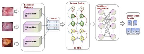 Efficientnet Optimizing Deep Learning Efficiency Visoai