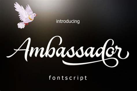 ambassador script font for branding design