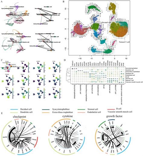Biological Analysis Of Turf Optimal Gene Set A Gene Expression