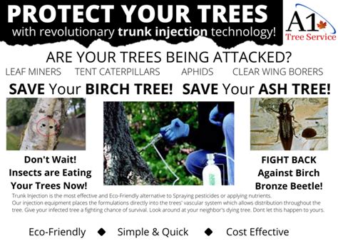 Tree Injection Service In Calgary A1 Tree Service Calgary