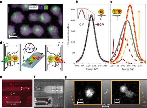 Ef Modulation Of Fluorescence In Cqdm Versus Mono Qd A Stem Haadf