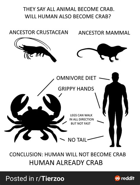Taxonomy Classification For Humans The Latest Classification Of Human