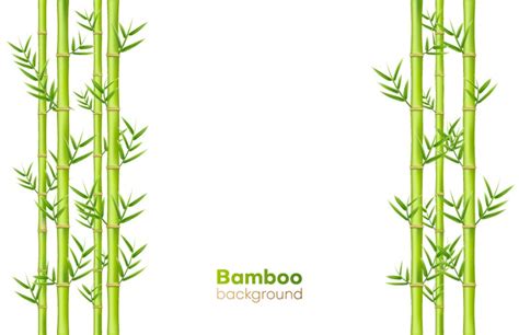 Bamboo Cartoon Vector Images Over 13000